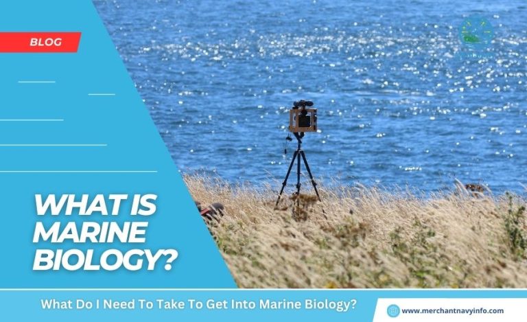 Marine Biologist : Essential Steps to Pursue a Career
