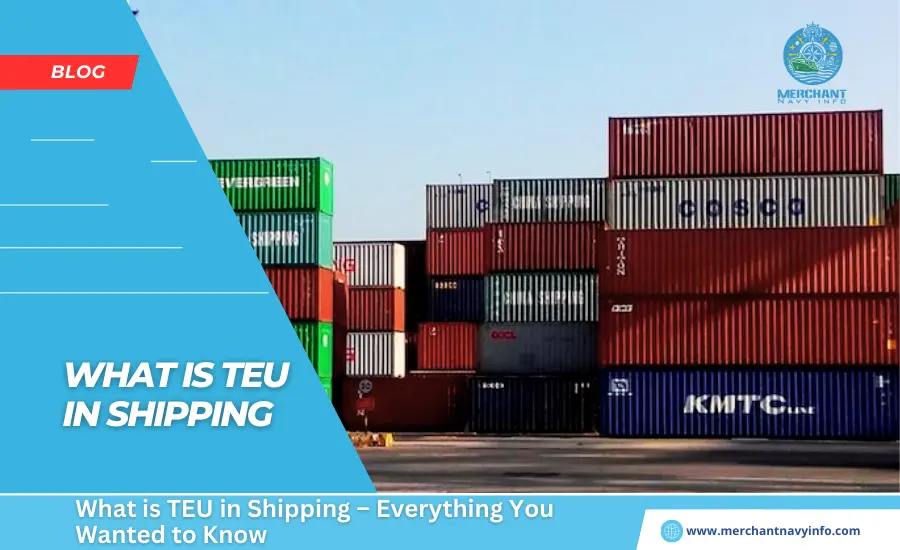 TEU : Everything You Wanted to Know
