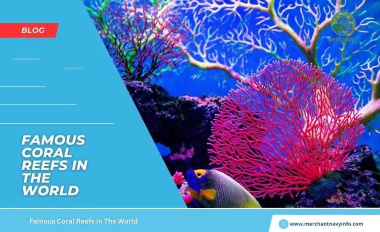 Famous Coral Reefs In The World - Marine Insight 360