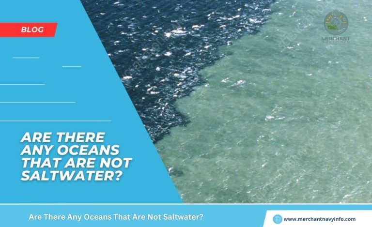 Fresh Water Ocean: Are There Any Non-Saltwater Oceans
