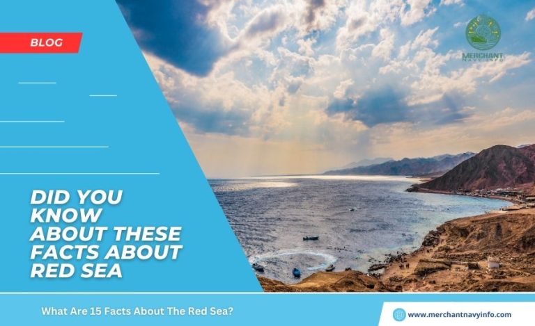 Did You These Fascinationg Facts About Red Sea