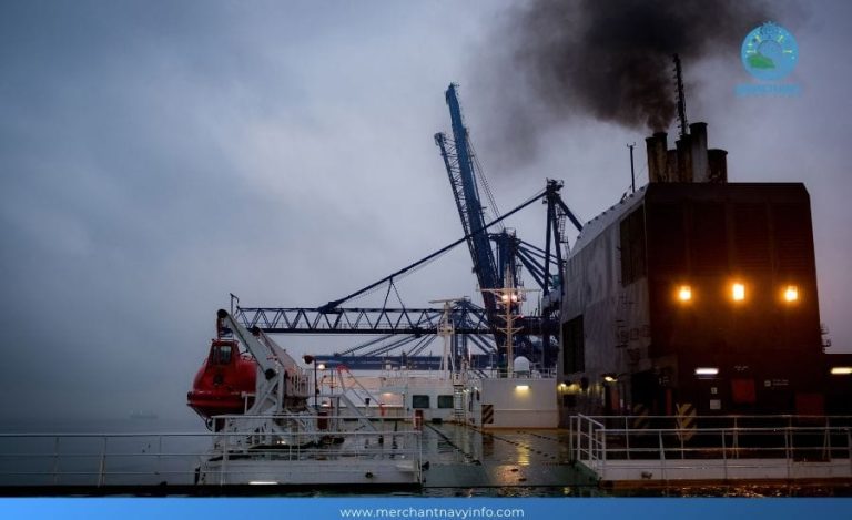 What Are RoRo Ships - Complete Guide - Blog