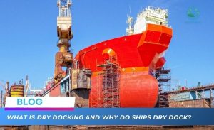 What is Dry Docking? Uses & Top Types - Trending Blogs