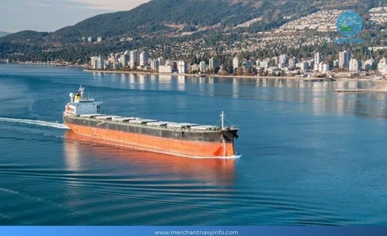 What is a Bulk Carrier Ship? Structure - Merchant Navy Info