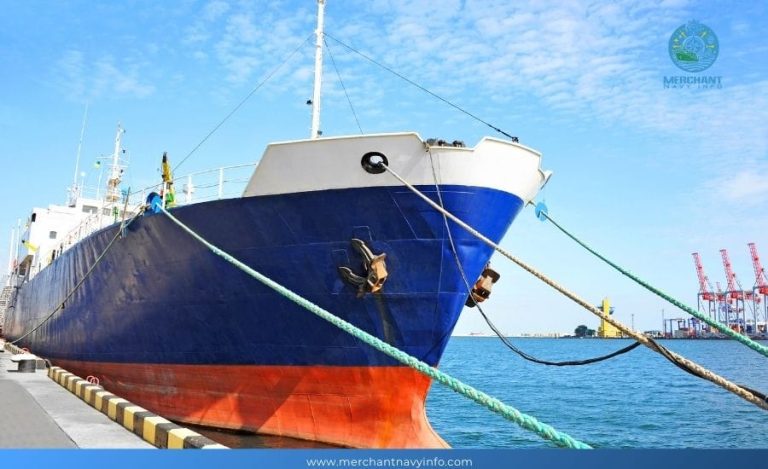 What is a Bulk Carrier Ship? Structure - Merchant Navy Info
