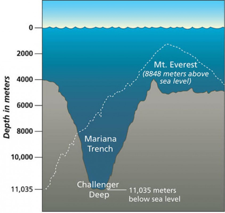 How Deep Is the Mariana Trench? Find Now - Marine Blogs