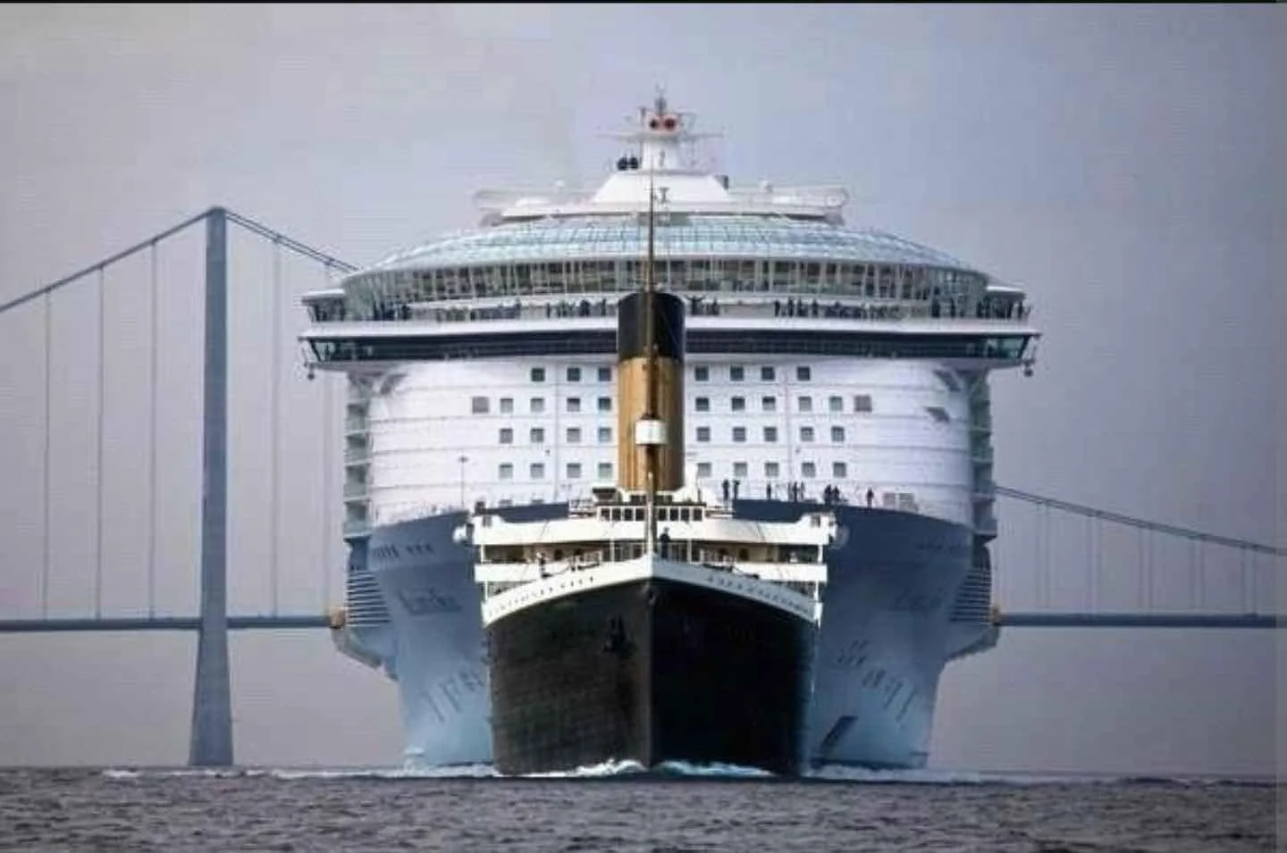 Ocean Liners vs. Cruise Ships – Things You Should Know -Blog
